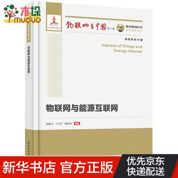 国之重器出版工程 物联网与能源互联网