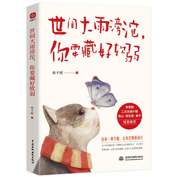 世间大雨滂沱，你要藏好软弱9787522603735