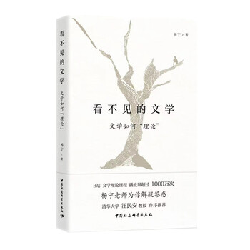 看不见的文学  （文学如何“理论”）网红老师 杨宁 B站播放量超过1000万次 