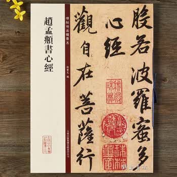 【】碑帖珍品临摹本 赵孟頫书心经 放大本 繁体旁注 成人学生书法家练毛笔字临帖范本字帖 行书