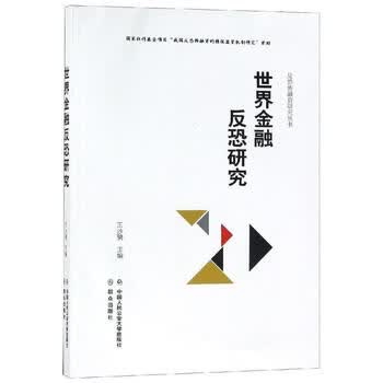世界金融反恐研究 王沙骋