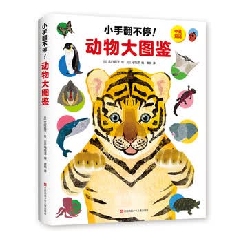 小手翻不停！动物大图鉴 （爱心树童书）