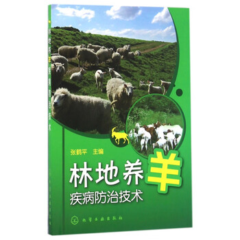林地养羊疾病防治技术