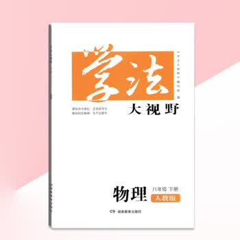 正版2022初中八年级下册物理学法大视野人教版湖南教育出版社物理8年级下册人教版初中练 物理 八年级下