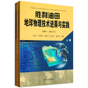 胜利油田地球物理技术进展与实践(2005-2011年) 王延光 石油工业出版社 9787502191