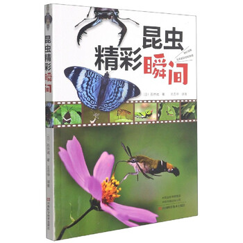 昆虫精彩瞬间 (日)石井诚
