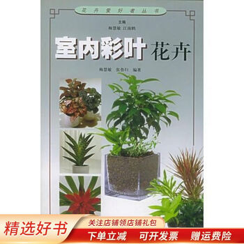 室内彩叶花卉花卉爱好者丛书 张鲁归