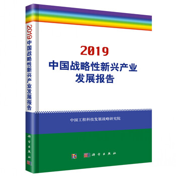 2019中国战略性新兴产业发展报告