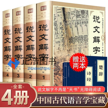 正版 说文解字原版 许慎著正版全版 全今释图解540部首篆书字注解 大字本说文解字注段玉裁注中华书局