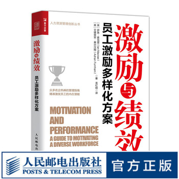 激励与绩效 员工激励多样化方案 人力资源管理者的工具书 企业管理书籍