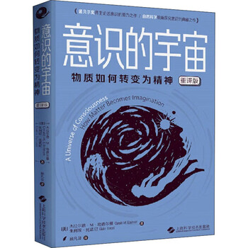 意识的宇宙 物质如何转变为精神 重译版