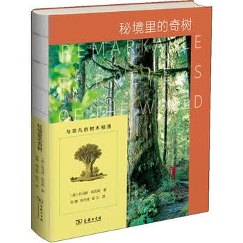 秘境里的奇树