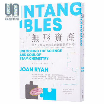 无形资产 将人人变成神队友的团队默契科学 Intangibles 台版 JoanRyan 管理