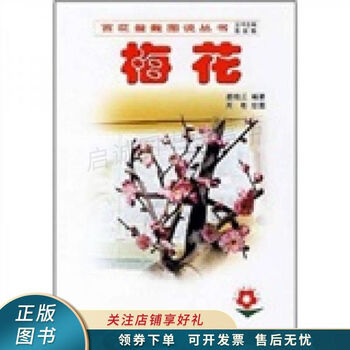 梅花 晏晓兰