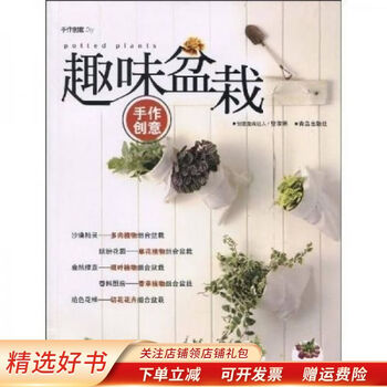 手作创意DIY：趣味盆栽