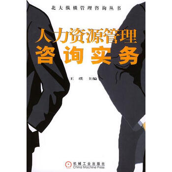 正版 人力资源管理咨询实务[图书]王璞800610