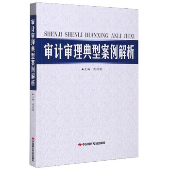 审计审理典型案例解析