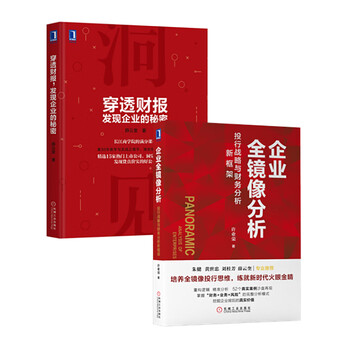 穿透财报 发现企业的秘密（京东套装共2册）