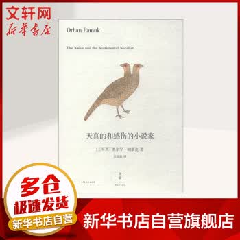 天真的和感伤的小说家