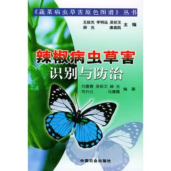 辣椒病虫害识别与防治