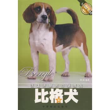 比格犬【正版图书，放心下单】