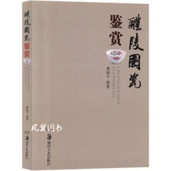 醴陵国瓷鉴赏 谭晓宁编著 湖南美术出版社