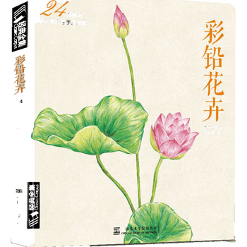 彩铅花卉