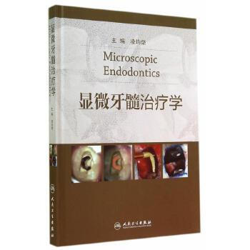 显微牙髓治疗学
