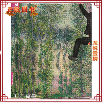 教学大师风景杨慎修，】