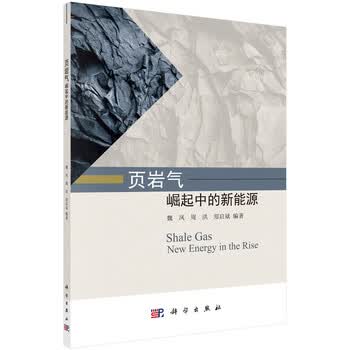 页岩气：崛起中的新能源
