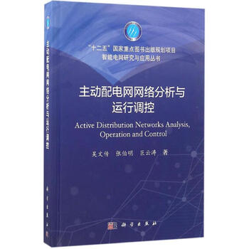 主动配电网网络分析与运行调控 