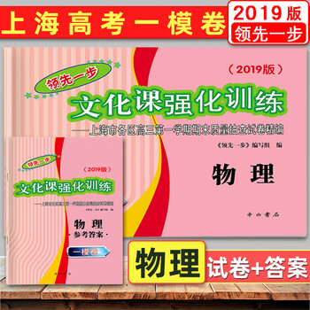 2019版领先一步物理 上海高考物理一模卷 试卷+答案 文化课强化训练 上海市各区高三学期期末质量抽