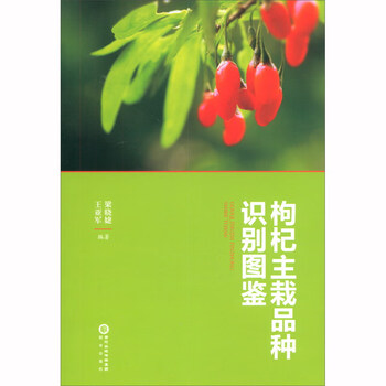 枸杞主栽品种识别图鉴