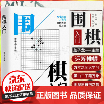 围棋入门 初学者幼儿小学生速成围棋谱围棋宝典围棋入门与技巧围棋书籍教材少儿围棋启蒙
