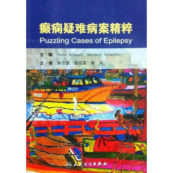 癫痫疑难病精粹 施密特 人民卫生出版社