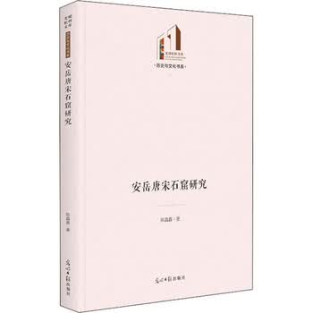 安岳唐宋石窟研究 图书