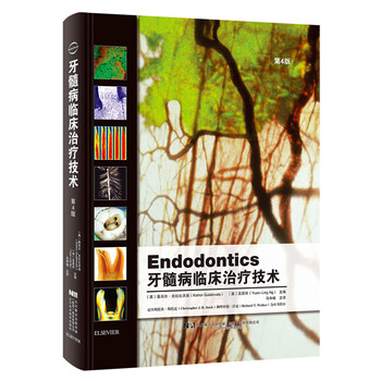 牙髓病临床治疗技术（第4版）