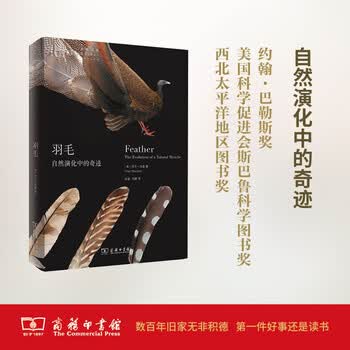 羽毛