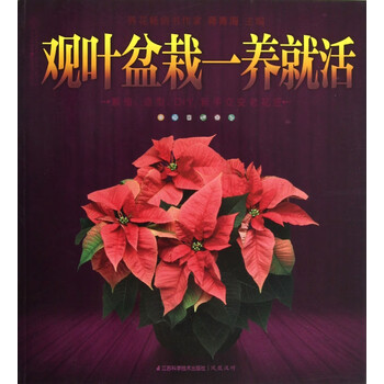 观叶盆栽一养就活