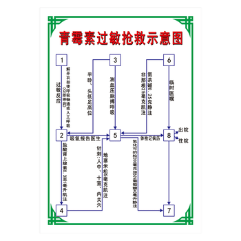 医院制度牌宣传画急救程序挂图药物过敏反应抢救流程图示意图贴画覆膜防水贴纸WSB169 WSB169-01 青霉素过敏抢救示意图 100*70厘米 覆膜防水PP贴纸