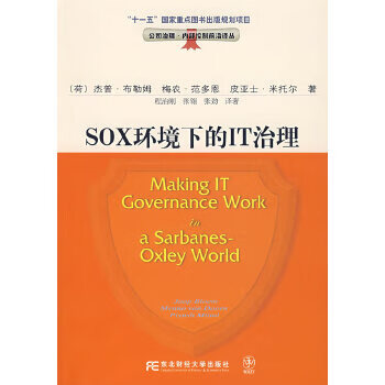 SOX环璋下的IT治理 【正版图书，放心购买】
