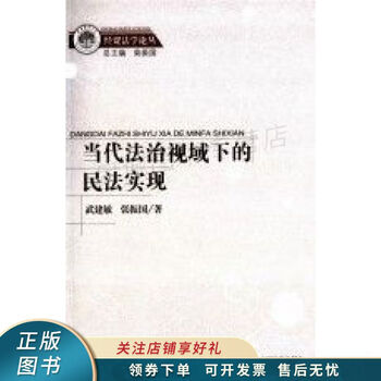 当代法治视域下的民法实现 武建敏