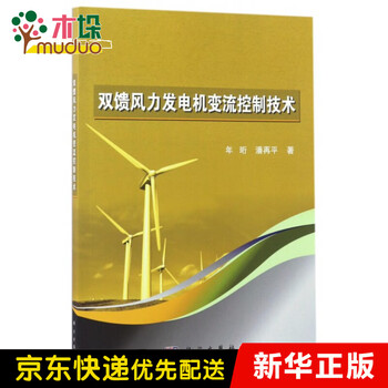 双馈风力发电机变流控制技术
