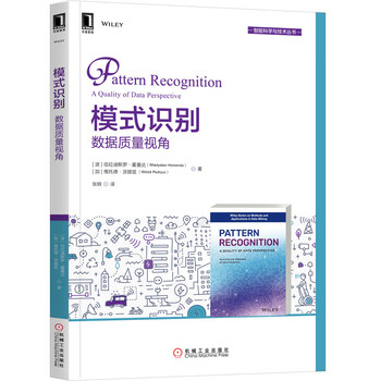 模式识别：数据质量视角