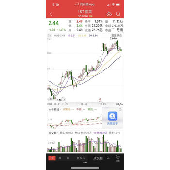 ST雪莱（股票代码：002076股份性质：无限售流通股）共21000000股股票－京东司法拍卖