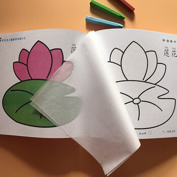 2-3-4-5-6岁宝宝学画画起步入门带蒙纸临摹 儿童学画书宝宝涂色书 手工填色本 幼儿园启蒙基础美