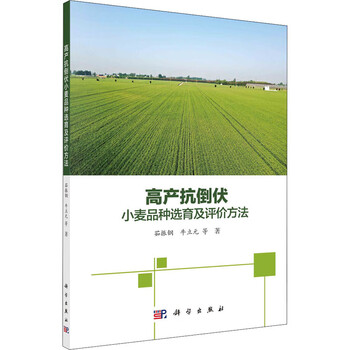 高产抗倒伏小麦品种选育及评价方法