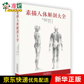 素描人体解剖大全