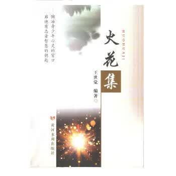 火花集 王世觉 黄河水利出版社【正版图书】