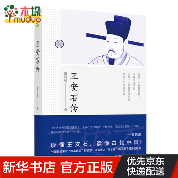 王安石传
